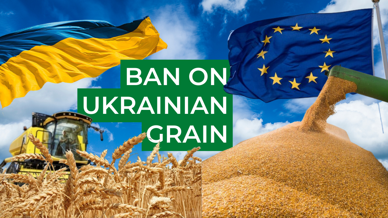 Why some European countries want to impose ban on Ukrainian grain ...