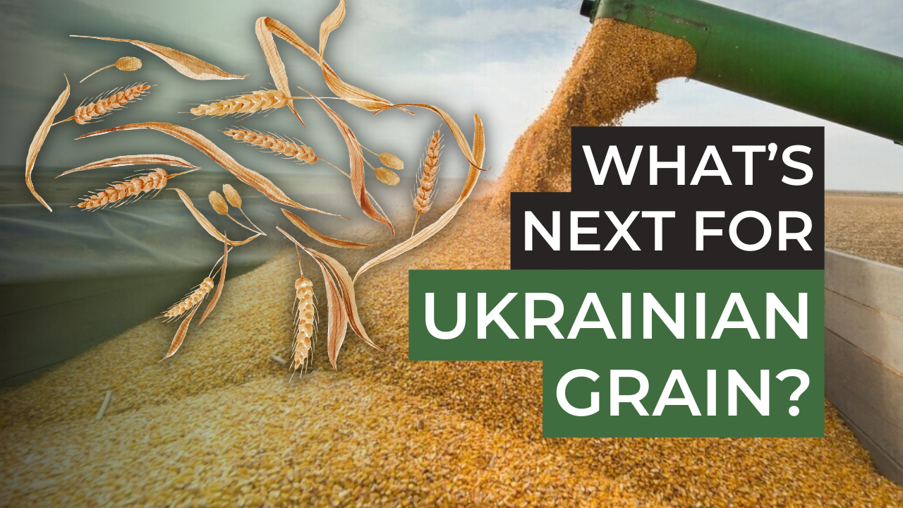 Impact on Ukrainian grain trade after Russia exits grain deal ...